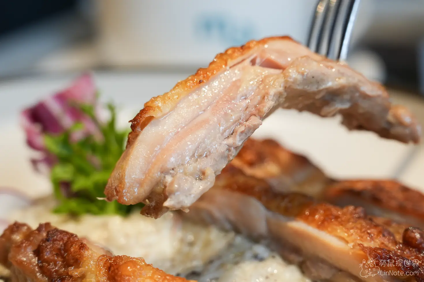 【桃園中壢】義沐Eat MU｜用美味征服你的味蕾，一次滿足從早到晚的幸福味覺之旅！ – 勞鼠探世界