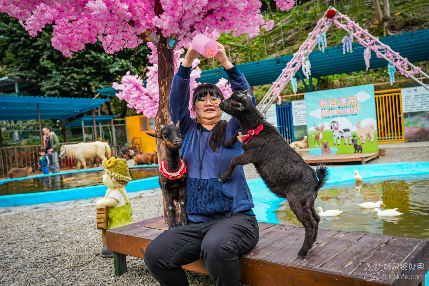 南投夢谷瀑布親子農場一日遊｜瀑布美景+互動動物+戲水設施，親子景點推薦 – 勞鼠探世界